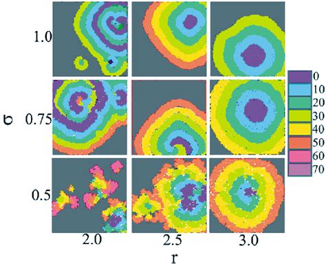 Color The Dynamics Of The Model For Different Values Of Density And Download Scientific