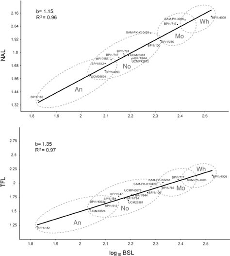 Bivariate Plots Showing Selected Trends Nasal Length And Temporal