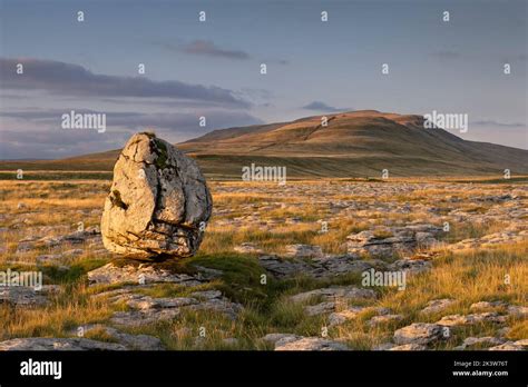 A Large Boulder Standing On Limestone Pavement On The Slopes Of Whernside One Of The Famous