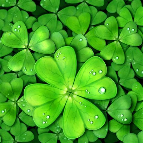 Lucky Wallpapers Top Free Lucky Backgrounds Wallpaperaccess
