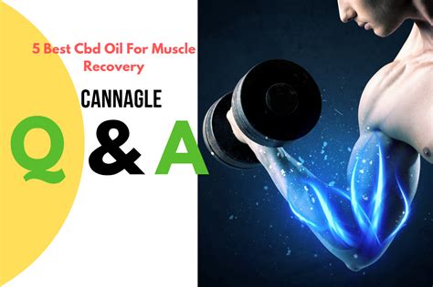 5 Best Cbd Oil For Muscle Recovery