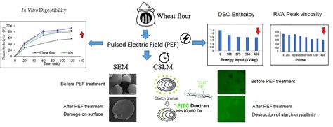 Polymers Free Full Text Effect Of Pulsed Electric Field Treatment On The Protein