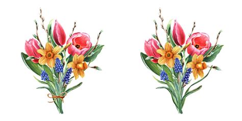 봄 꽃다발 꼬기 나비 넥타이로 튤립 수선화 포도 히아신스 무스카리 버드나무 가지 손으로 그린 수채화 그림이 흰색에 고립되어 있습니다 클립 아트 카드의 경우 0명에 대한 스톡