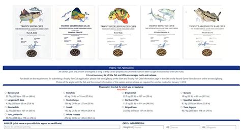 The Pursuit Of An IGFA Trout Grand Slam International Game Fish