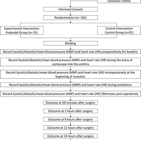 Pdf Efficacy Of Pudendal Nerve Block For Alleviation Of Catheter