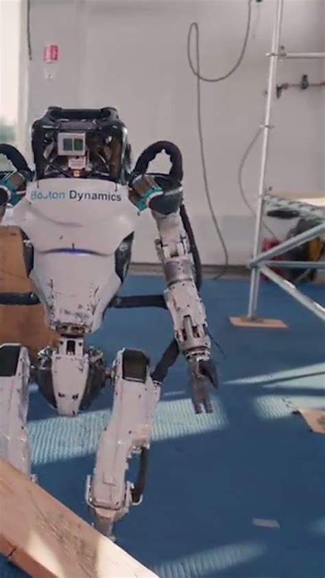 Colleen Mcgee Spot Mcgeespot Twitter