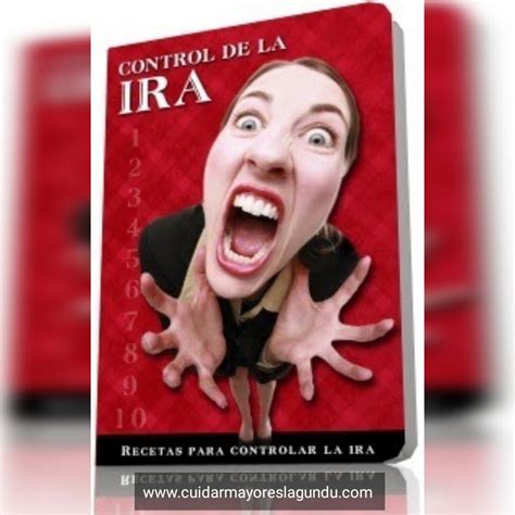 Control De La Ira Recetas Para Controlar La Ira Ebook