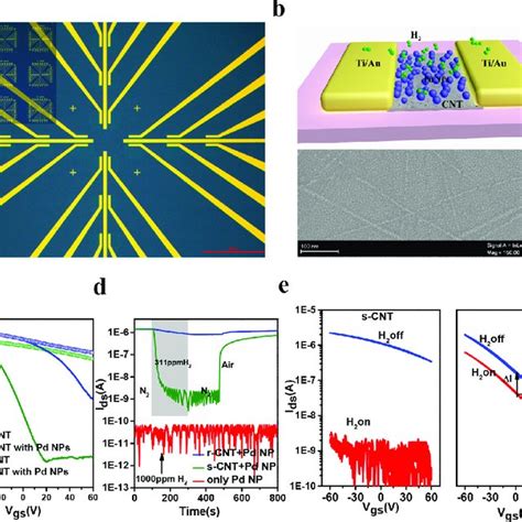 Structure And Preliminary Characteristics Of Cnt Film H2 Sensors A