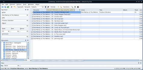 Tutorial 1 Puddletag