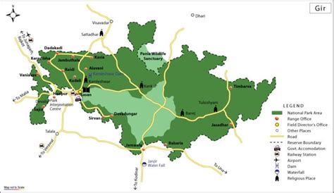 Gir Forest National Park Travel Guide • The Art Of Travel Wander