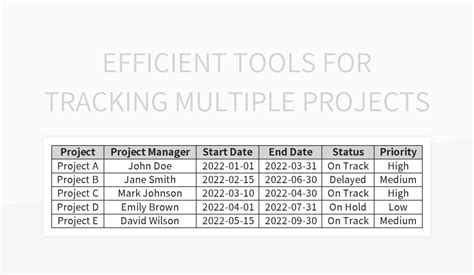 Efficient Multiple Project Tracking With Real Time Monitoring Excel