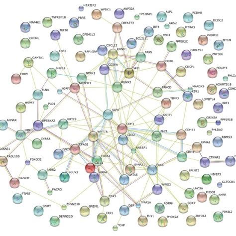Illustrative Diagram For Functional Protein Association Network
