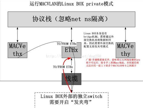 图解几个与linux网络虚拟化相关的虚拟网卡 Vethmacvlanmacvtapipvlan Csdn博客