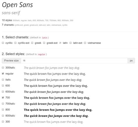 In Depth Guide On Hosting Local Fonts In WordPress Best SEO Blog