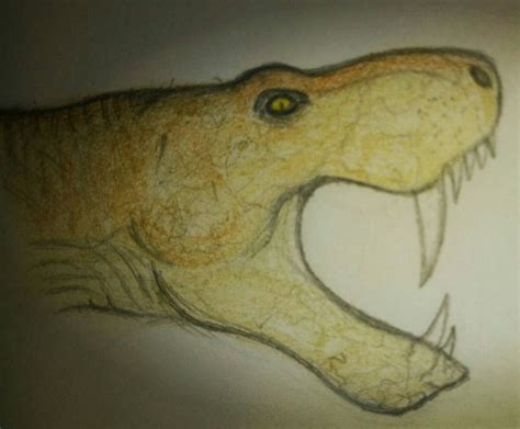 Rubidgea Head By Thepalaeowriter On Deviantart