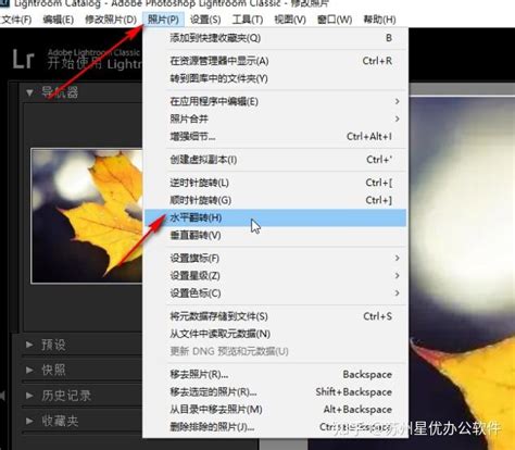 怎么将图片镜像翻转？超简单！图片镜像翻转的5种实用方法 知乎