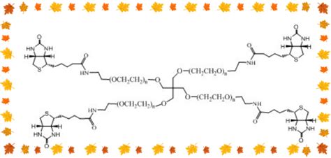 4 Arm Peg Biotin，4 Arm Peg Biotin，四臂 Peg 生物素一种多臂peg衍生物 知乎