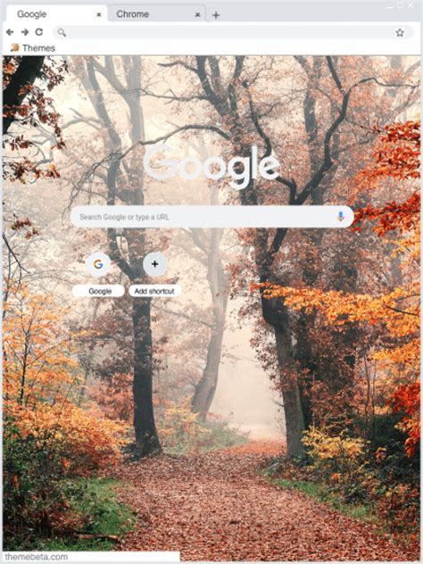 Chrome Theme Themebeta