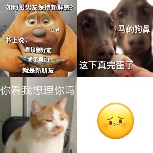一些很难拒绝的表情包相关表情包表情包专辑 求表情网斗图从此不求人
