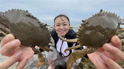 【english Sub】赶海碰上青蟹大集合，集体在坑里吐水“晒太阳”，小章今天抓爽了【赶海小章】 【english Sub】赶海碰上青蟹