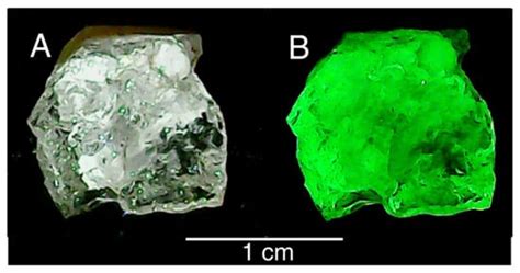 Minerals Free Full Text Silicification Of Wood An Overview