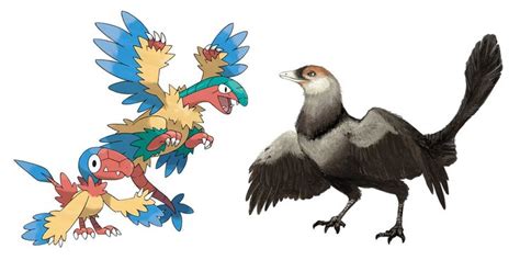 Archen And Archeops Archaeopteryx Fossil Pokemon Bird Pokemon Pokemon