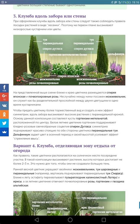 клумба вдоль забора или стены Cactus Plants Plants Garden