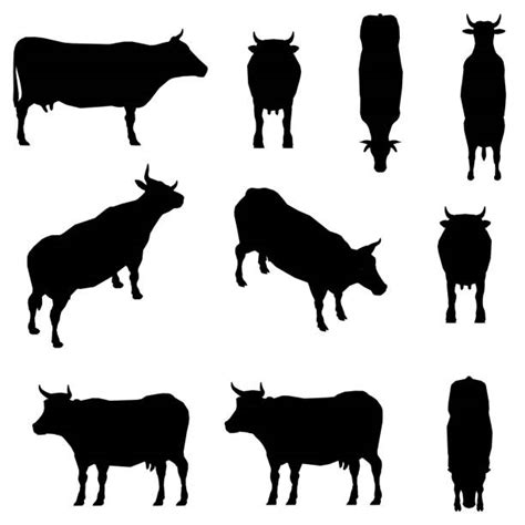Mad Cow Disease Illustrations Illustrations Royalty Free Vector