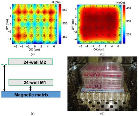 Biosensors An Open Access Journal From Mdpi Biosensors An Open Access Journal From Mdpi