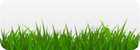 Summer Abstract Background With Grass Vector Illustration 3638834