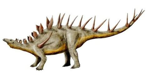 10 Plated Facts About Kentrosaurus Mental Floss