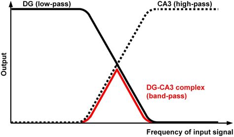 Functional Optical Probing Of The Hippocampal Trisynaptic Circuit In