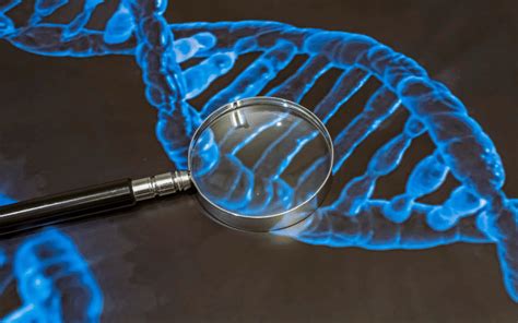 Understanding Pagets Disease Of Bone The Comprehensive Overview Of