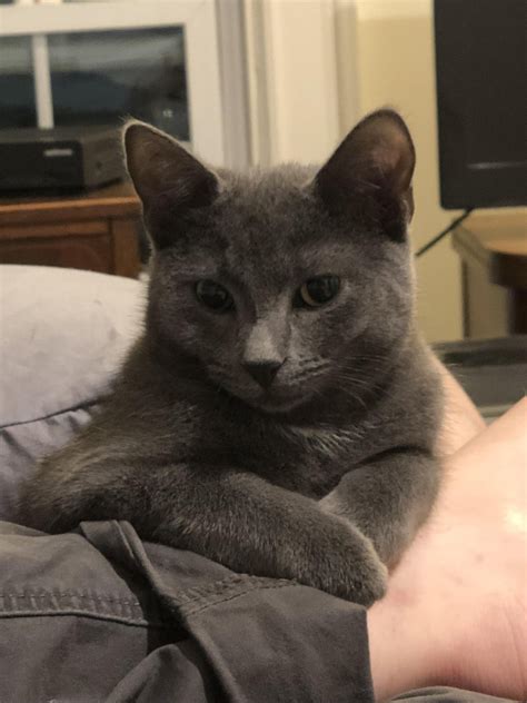 She Has No Idea How Cute She Is Raww