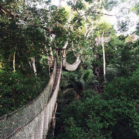 Conservation Corridors