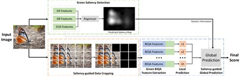 Bridging The Gap Between Saliency Prediction And Image Quality