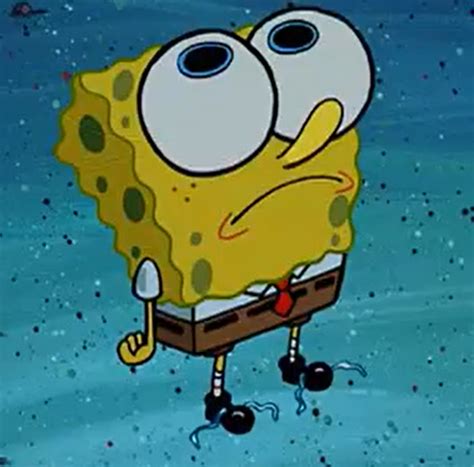 Big Eyes Spongebob Spongebob Funny Pictures Spongebob Funny Spongebob