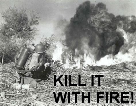 Image 125937 Kill It With Fire Know Your Meme