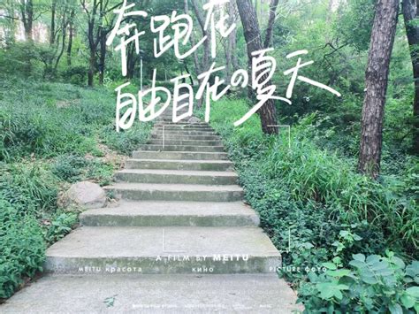夏日林中 活力满满 站酷ZCOOL