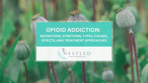 Opioid Addiction Definitions Symptoms Types Causes Effects And