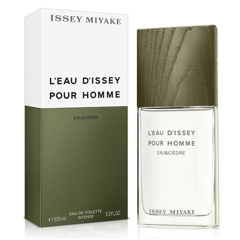 Issey Miyake 三宅一生 一生之水雪松男性淡香水100ml 其他品牌 Yahoo奇摩購物中心