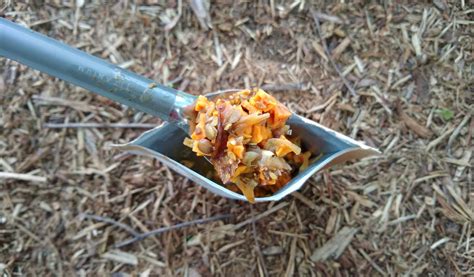 The 15 Best Freeze Dried Meals For 2020 Backpacking Food 101