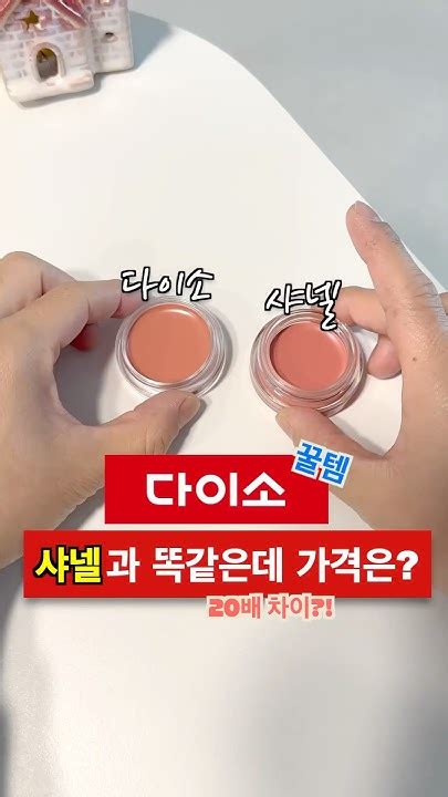 다이소에 명품도 있다 없는게 없는 다이소 꿀템 다이소추천템 다이소 Youtube