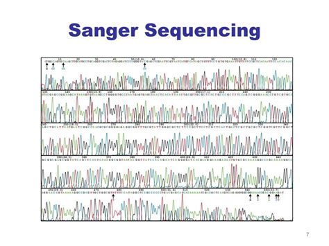 Ppt Next Generation Sequencing Powerpoint Presentation Free Download Id 757728