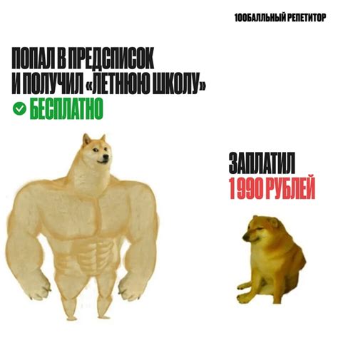 СДЕЛАЙ ЭТО ЧТОБЫ ПОЛУЧИТЬ СОТКУ НА ЕГЭ 2023 2024 Как без напряжения и