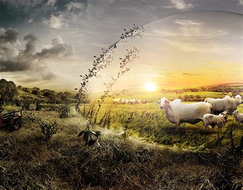 Agripon Brasil On Behance