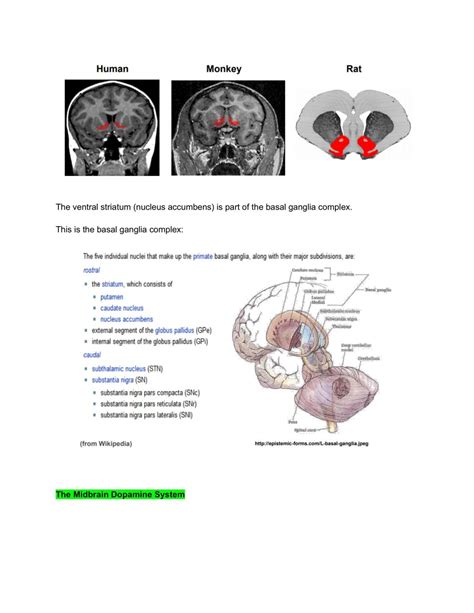 Brain And Behaviour Lecture Notes Psyc0014 Brain And Behaviour