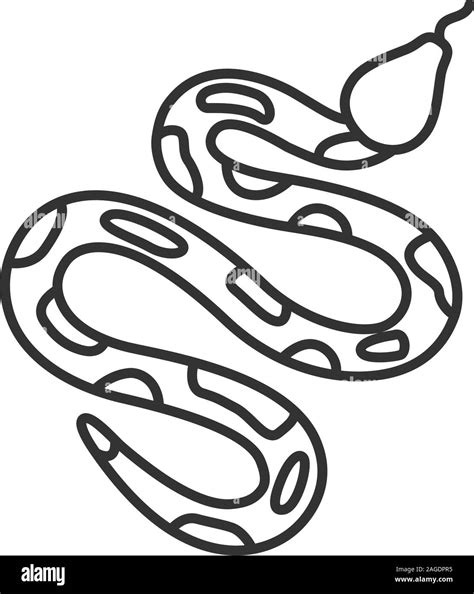 Python Linear Icon Thin Line Illustration Snake Boa Constrictor