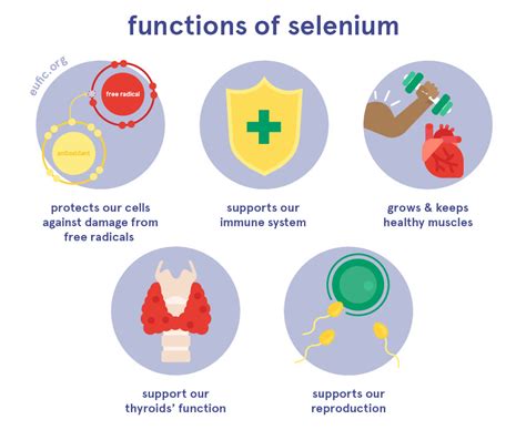 How To Protect DNA And Cell Damage Using Selenium