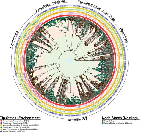 Figure 2 From Macroecological Diversification Of Ants Is Linked To